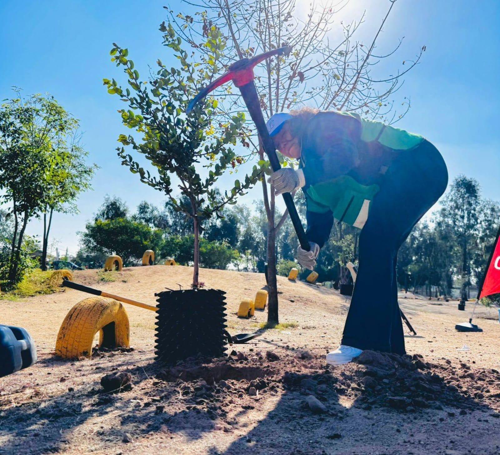 Reforesta Gobierno Municipal Parque de la Amistad con especies nativas ...